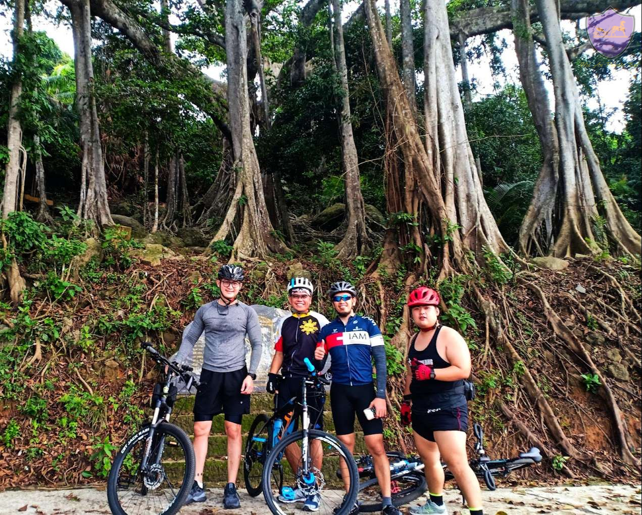 Thousands Year Banyan Tree Da Nang - Hoi An Private Taxi