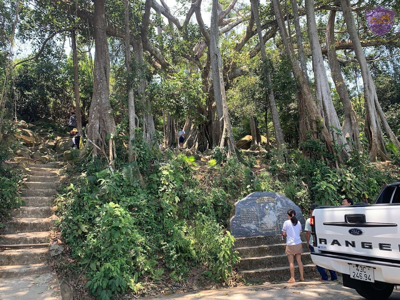 Thousands Year Banyan Tree Da Nang - Hoi An Private Taxi